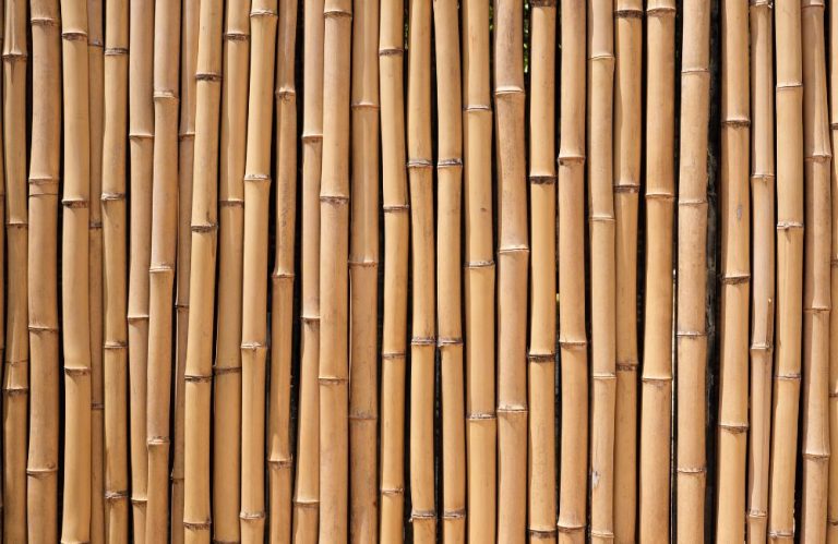 5 Leading Eco-Friendly Materials for Sustainable Construction - JCO ...